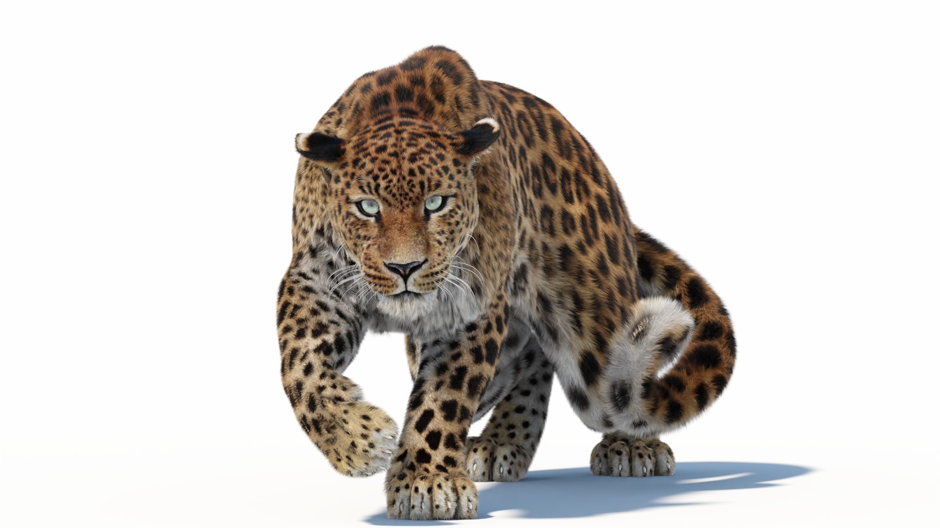 3D Sri Lankan Leopard Animated Fur - TurboSquid 2285374