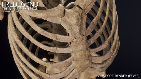 Fredegund - The BlenRig Skeleton3D模型 - TurboSquid 1978694