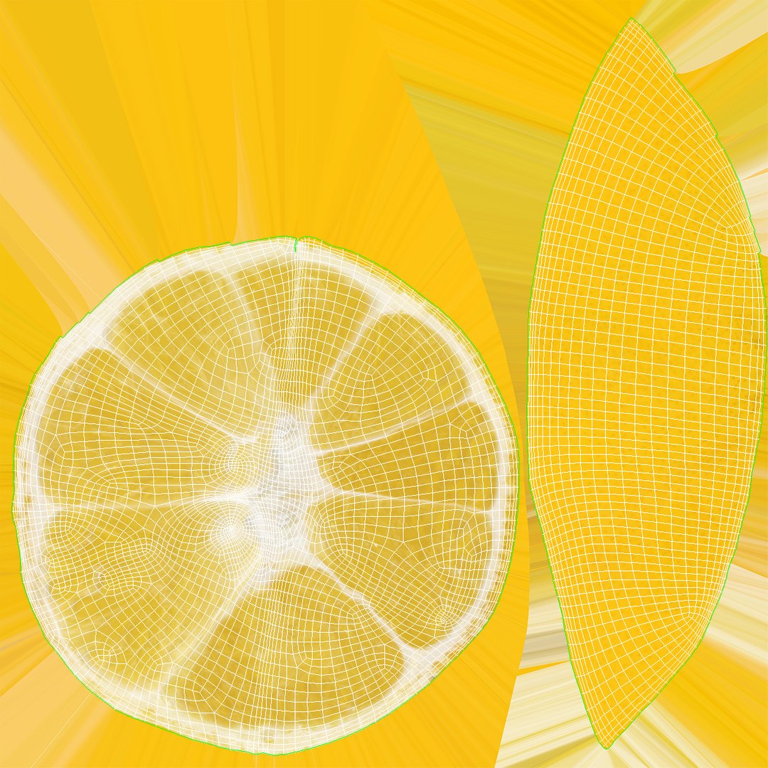 3D Prop 25 Lemon Wedge Model - TurboSquid 2238920