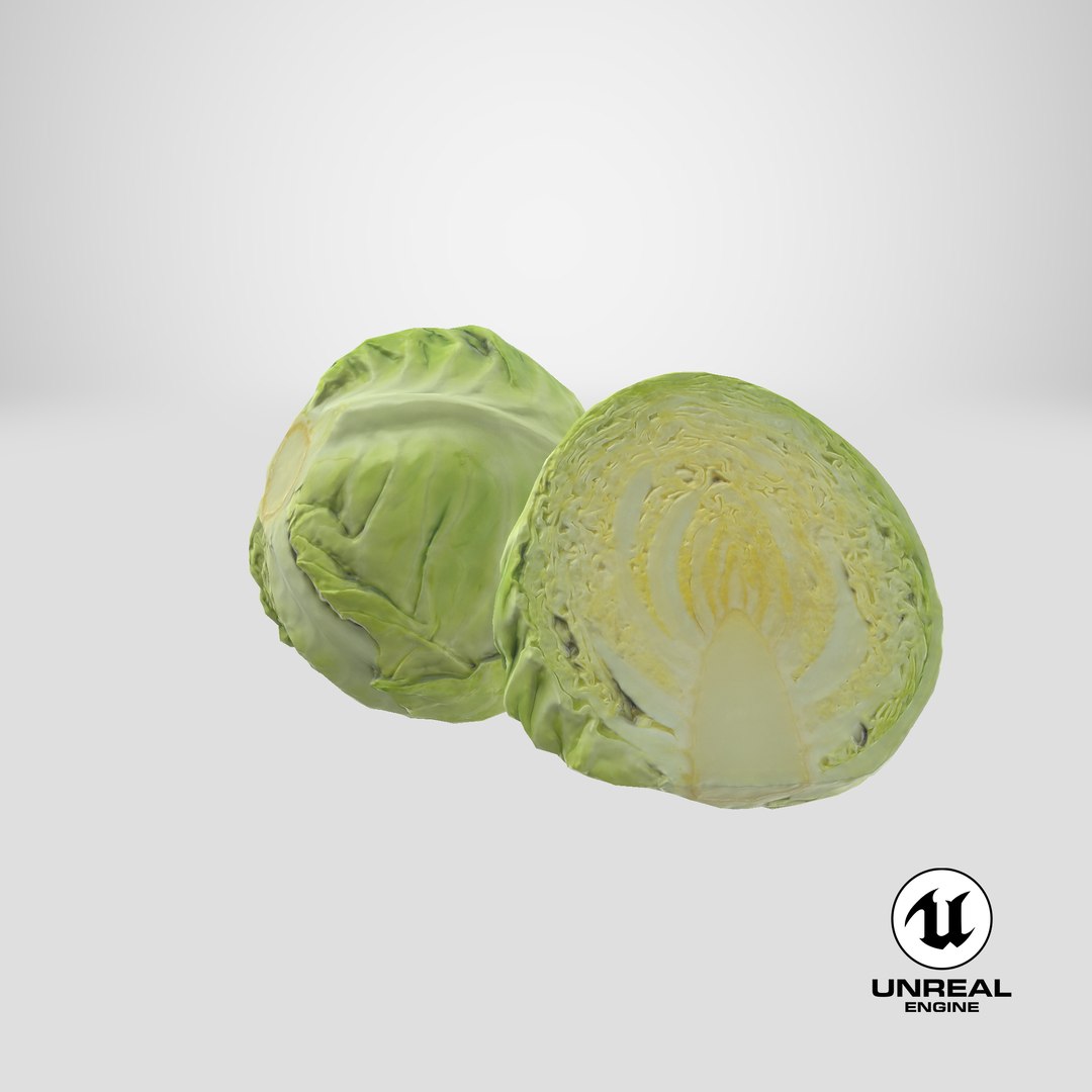 3D Model Whole And Half Cabbage - TurboSquid 1849816