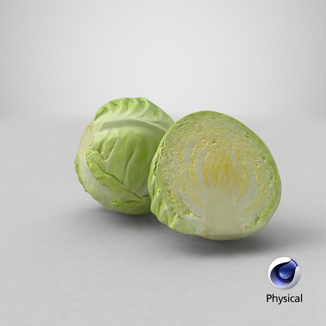 3D Model Whole And Half Cabbage - TurboSquid 1849816