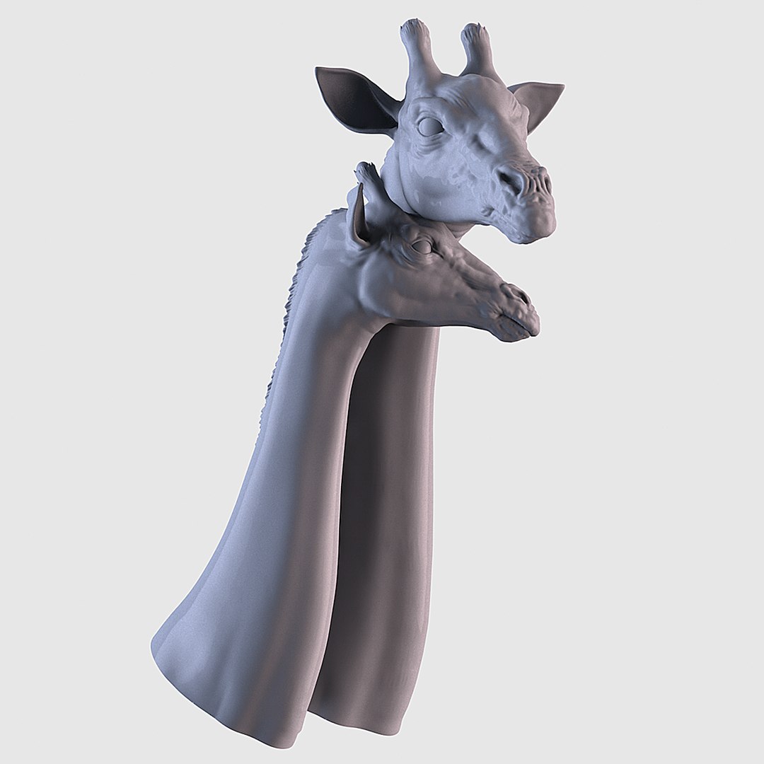Head Giraffes Model - TurboSquid 2260455