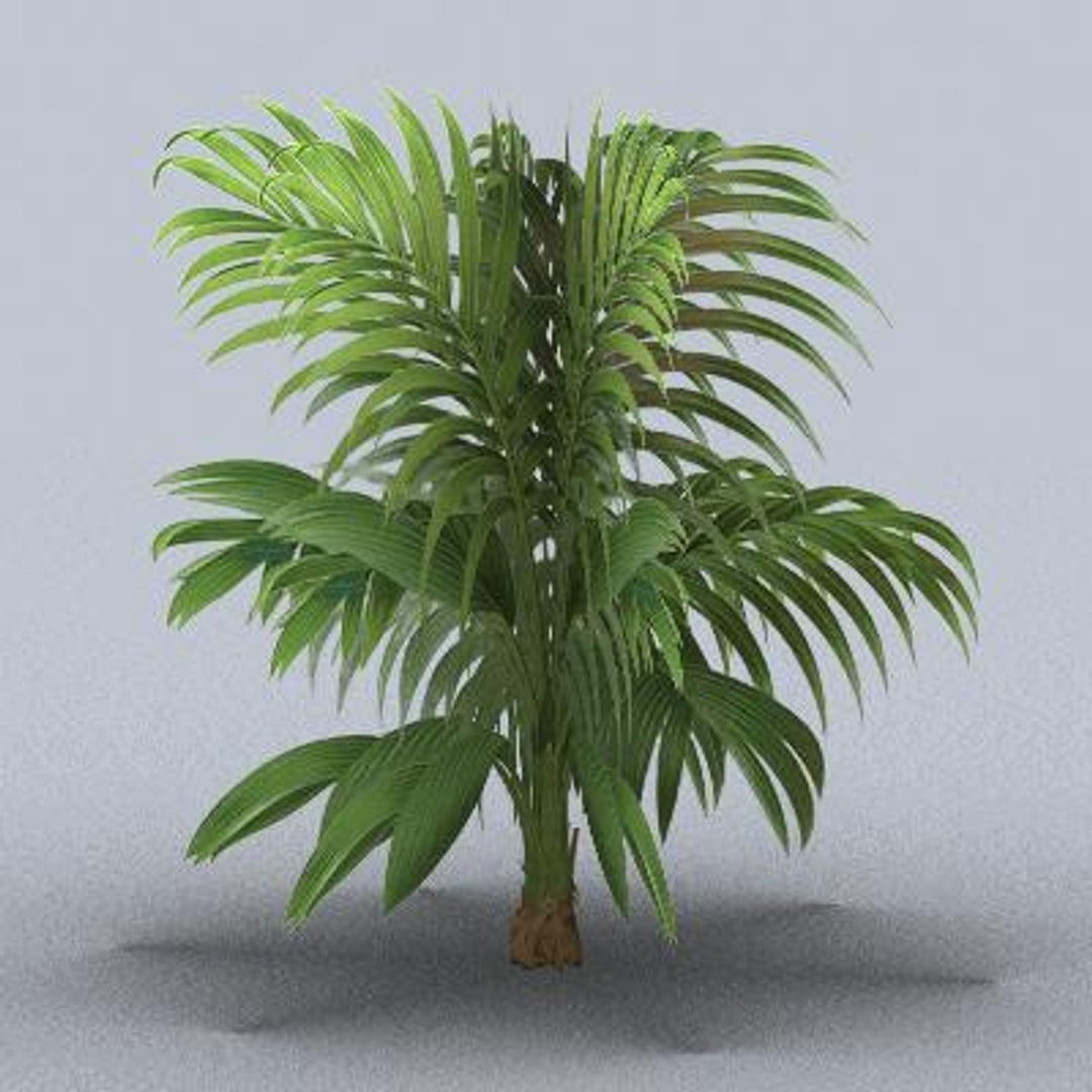 3d Model Tropical Plants Trees