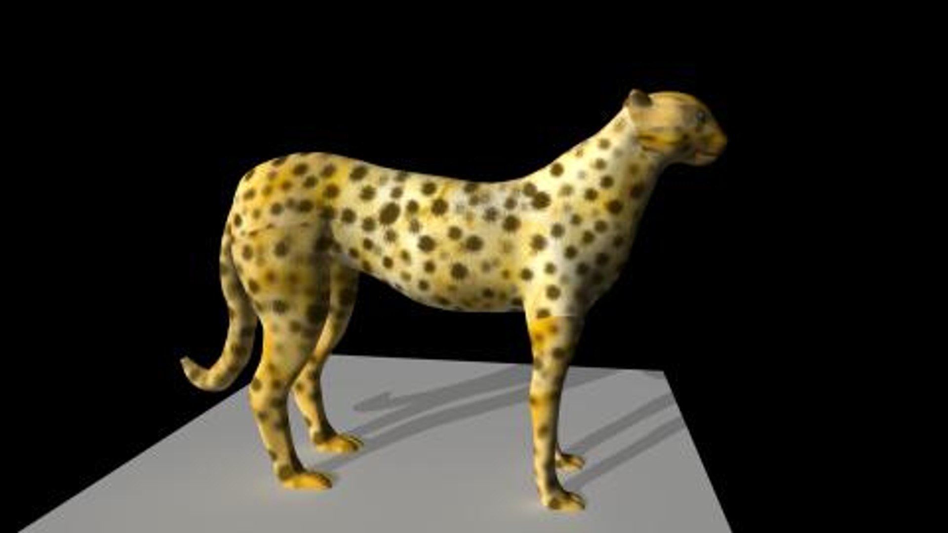3d model cheetah