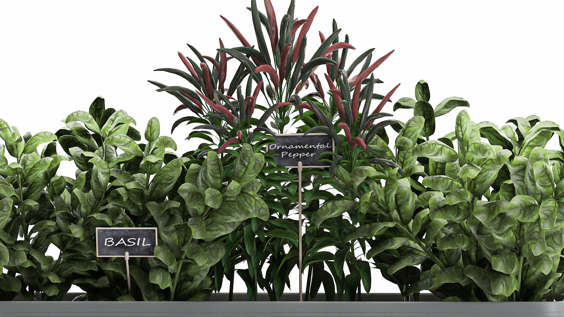 3D Model Vegetable Garden In The Kitchen 1059 - TurboSquid 1807943