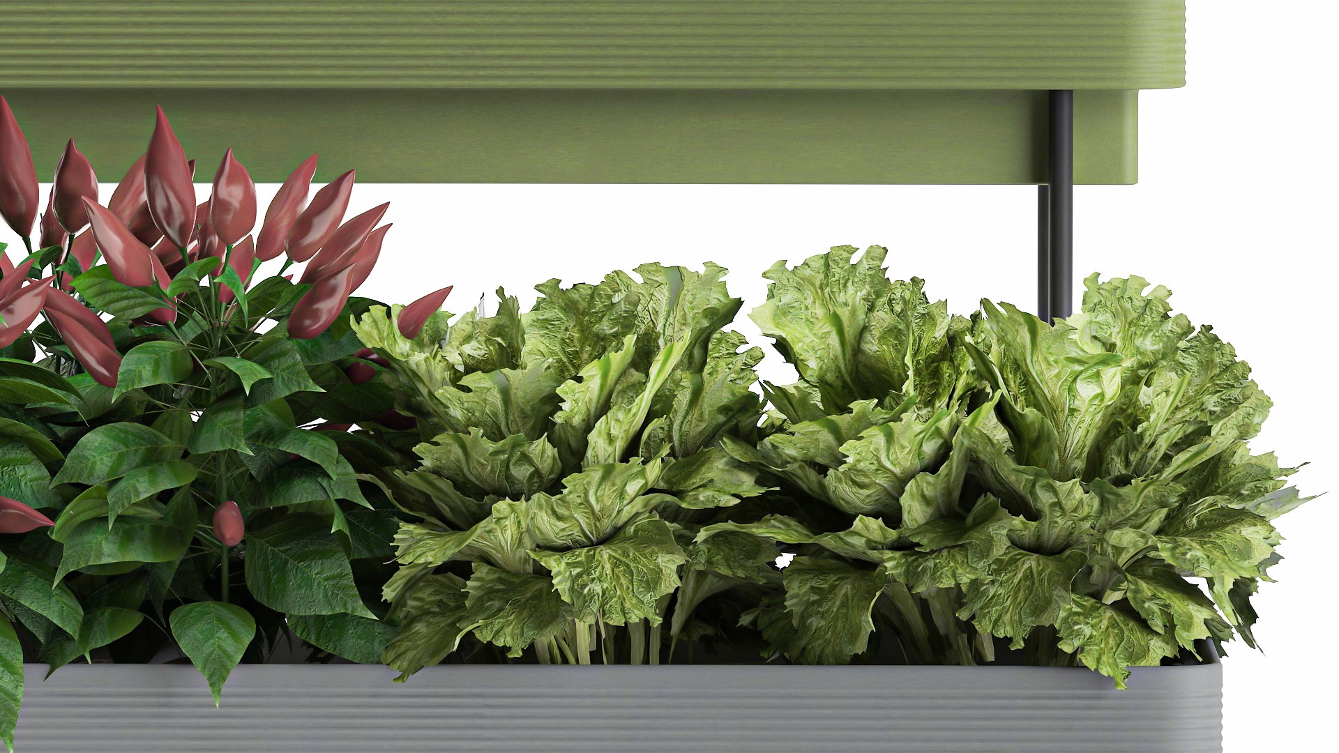 3D Model Vegetable Garden In The Kitchen 1059 - TurboSquid 1807943