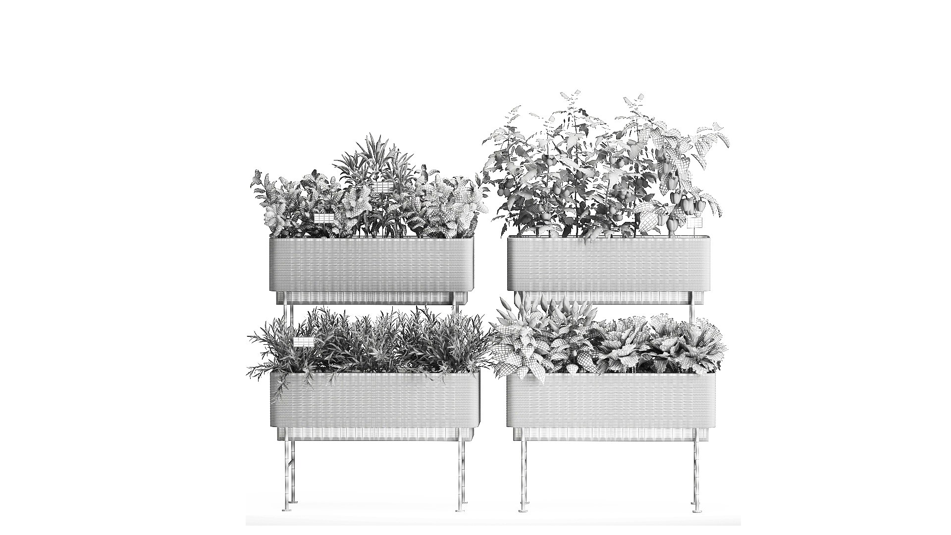 3D Model Vegetable Garden In The Kitchen 1059 - TurboSquid 1807943