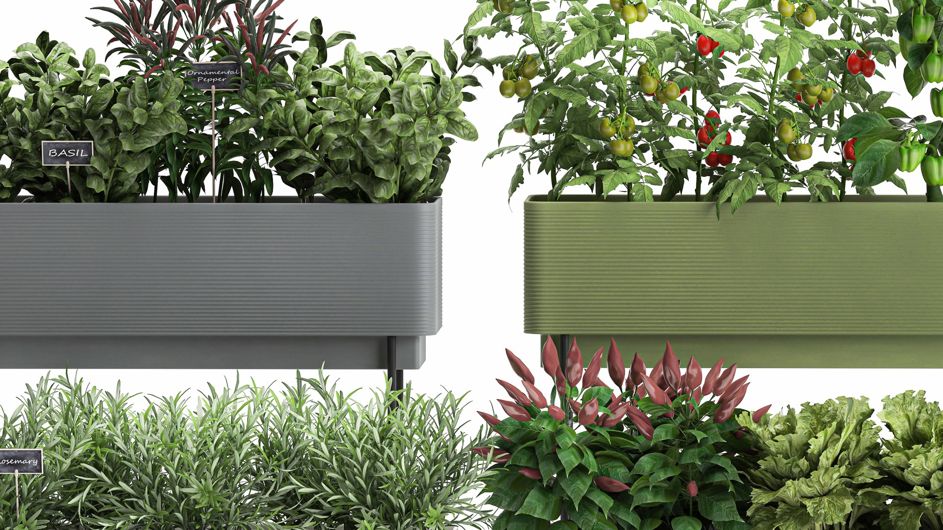 3D Model Vegetable Garden In The Kitchen 1059 - TurboSquid 1807943