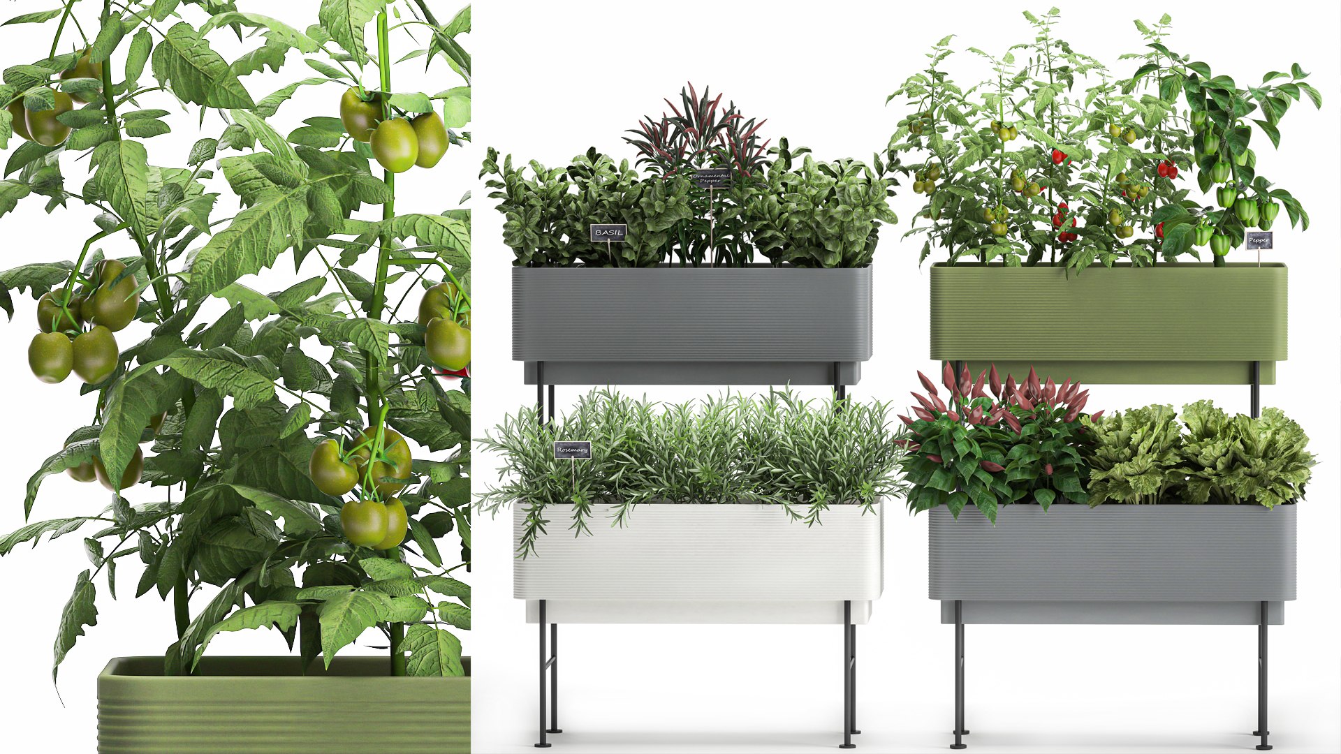 3D Model Vegetable Garden In The Kitchen 1059 - TurboSquid 1807943