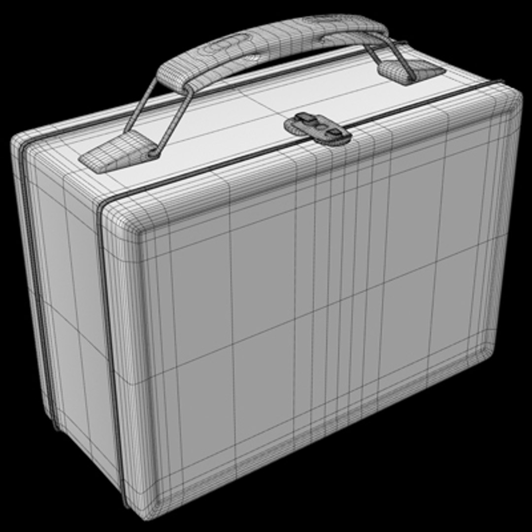 lightwave lunch box case