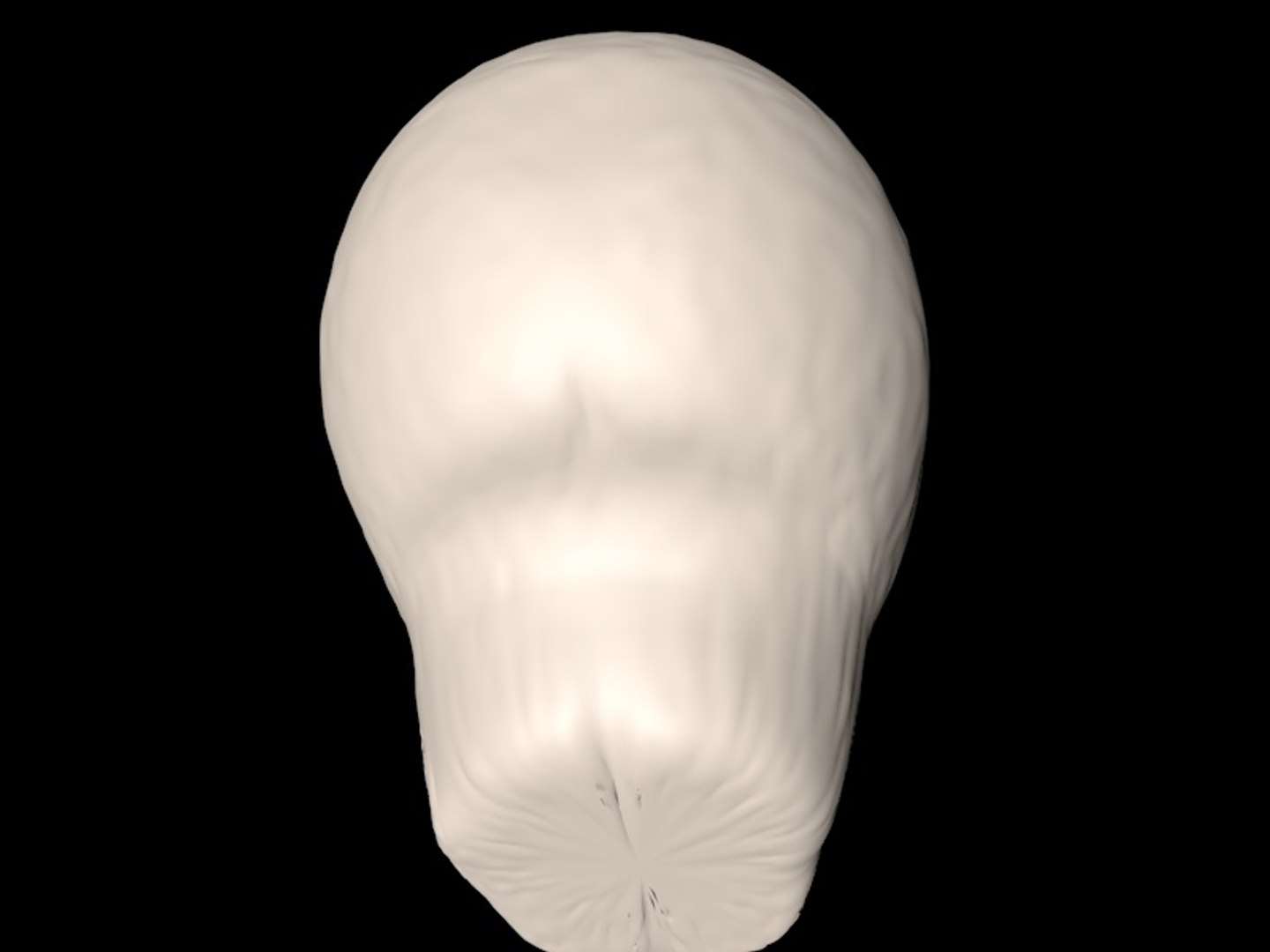 3D Funny Talking Skull Model - TurboSquid 1199796