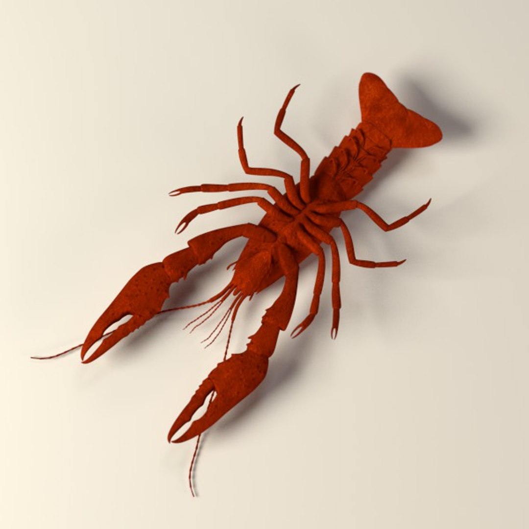 3ds max dead crayfish