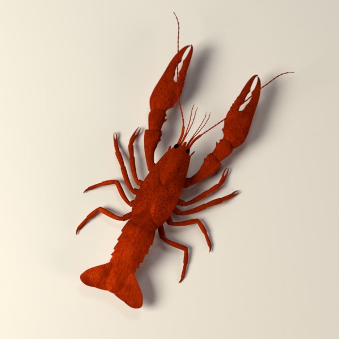 3ds max dead crayfish