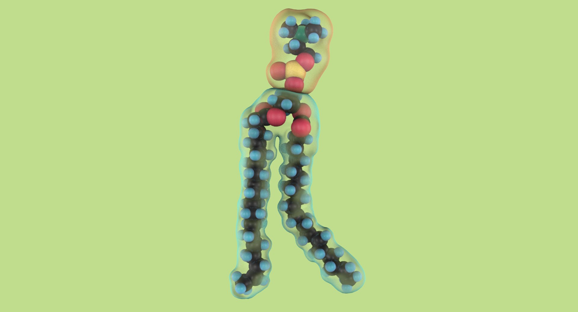 lipids structure 3d