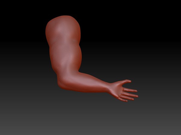 human arm 3d model