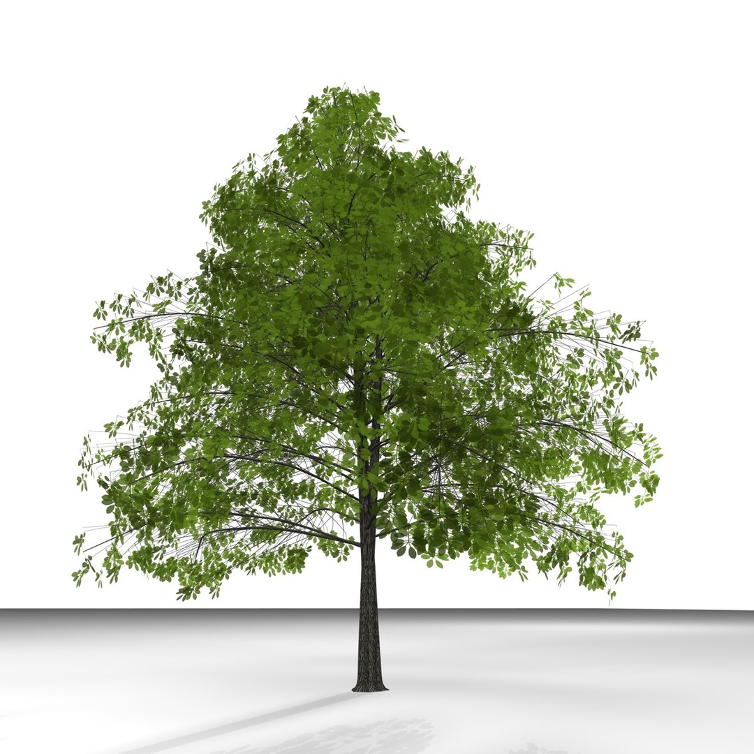 3ds max plane tree