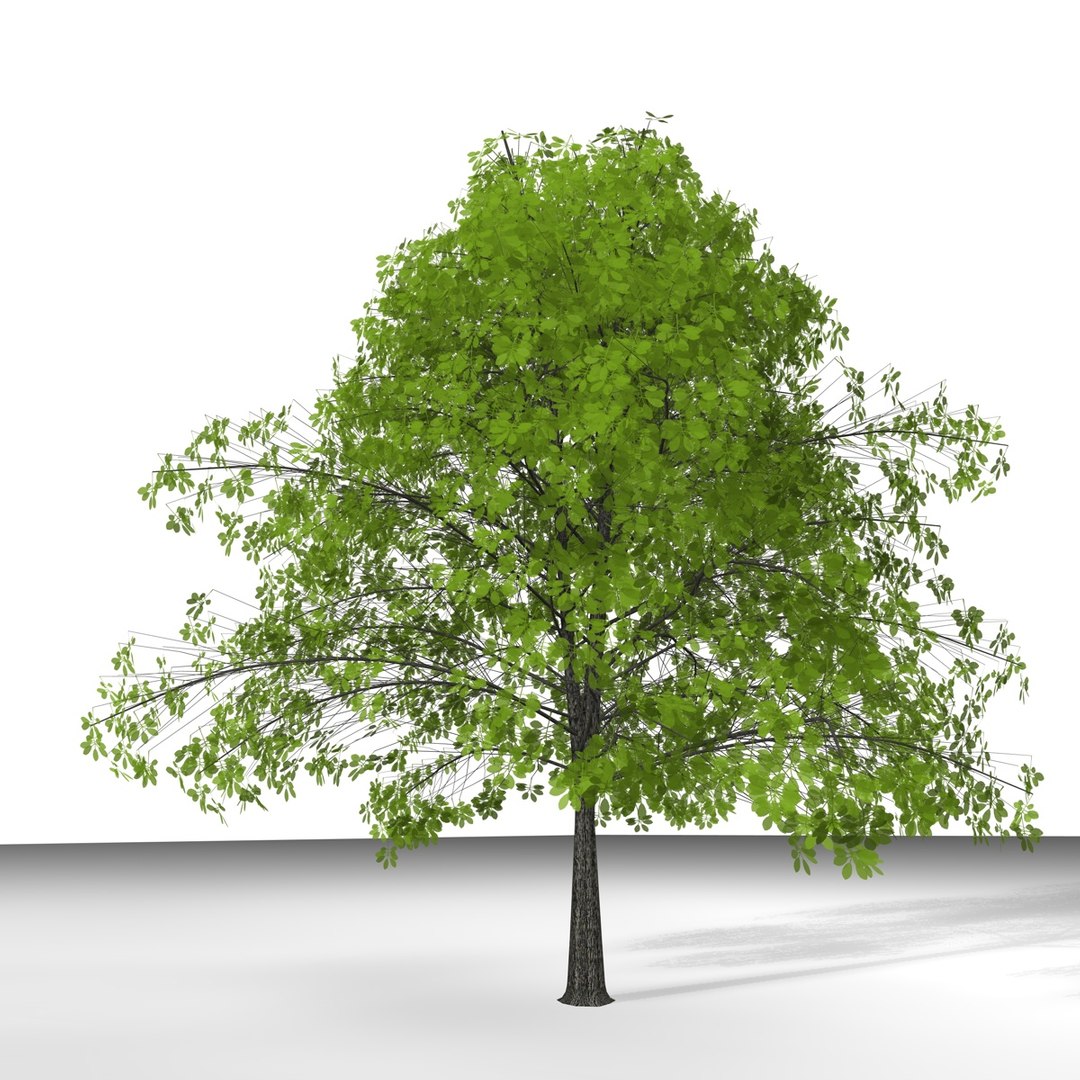 3ds max plane tree