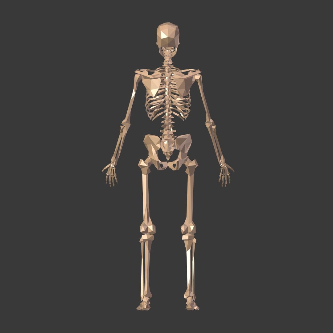 3D cartoon skeleton - TurboSquid 1362287