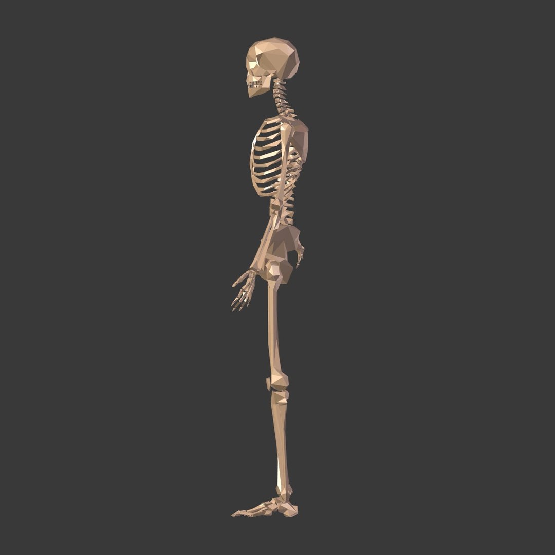 3D cartoon skeleton - TurboSquid 1362287
