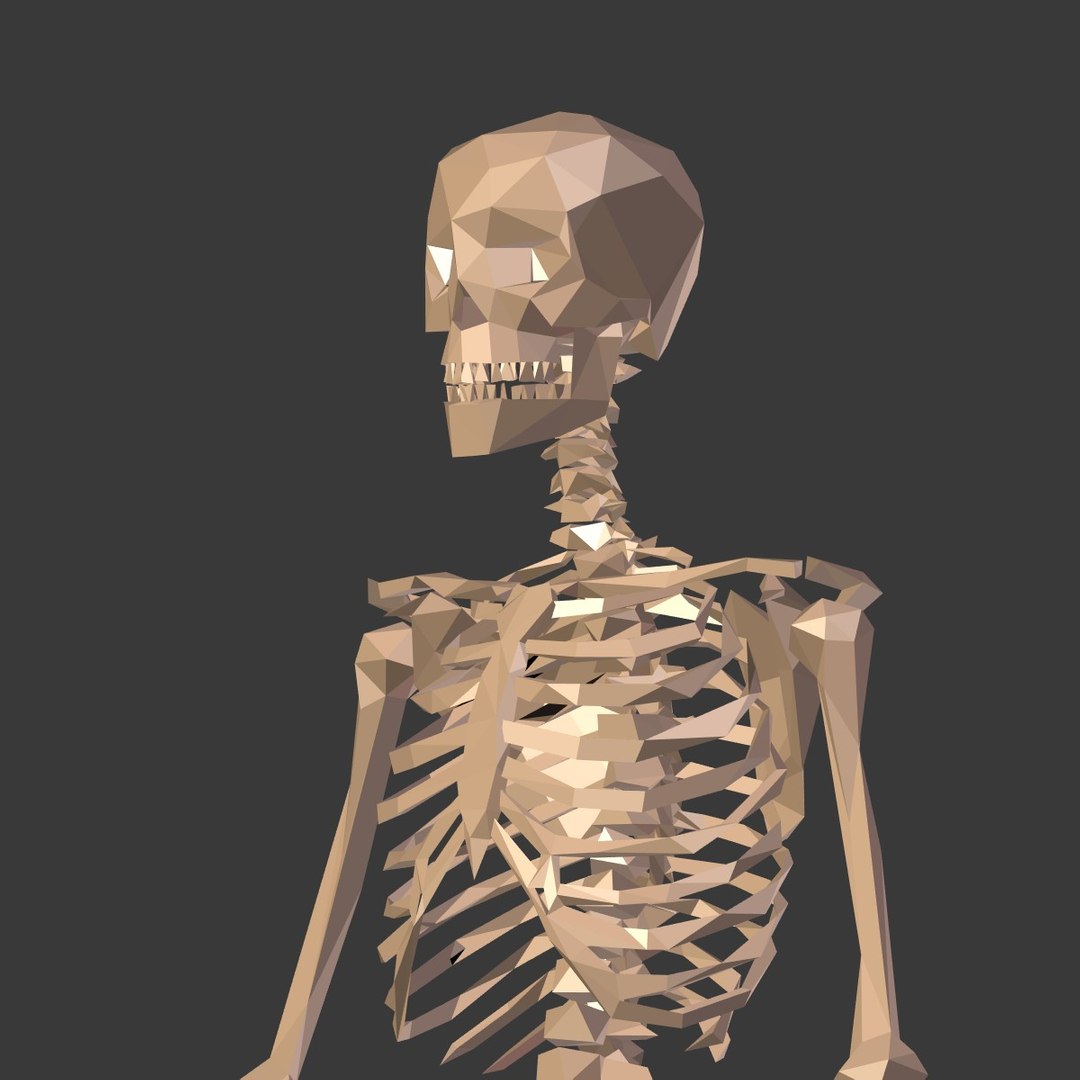 3D cartoon skeleton - TurboSquid 1362287