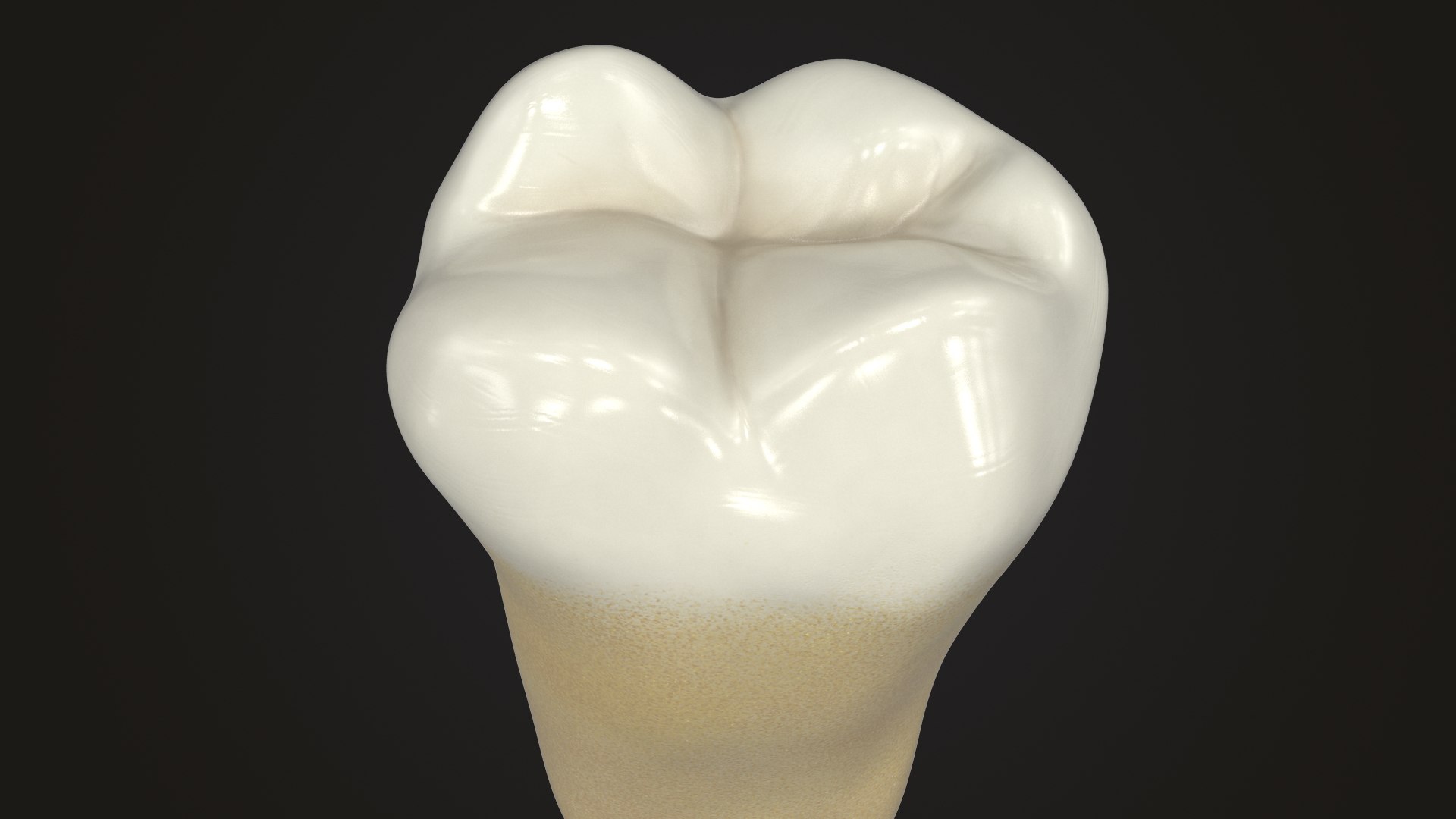Human Teeth Lower Molar 3D Model - TurboSquid 1599239