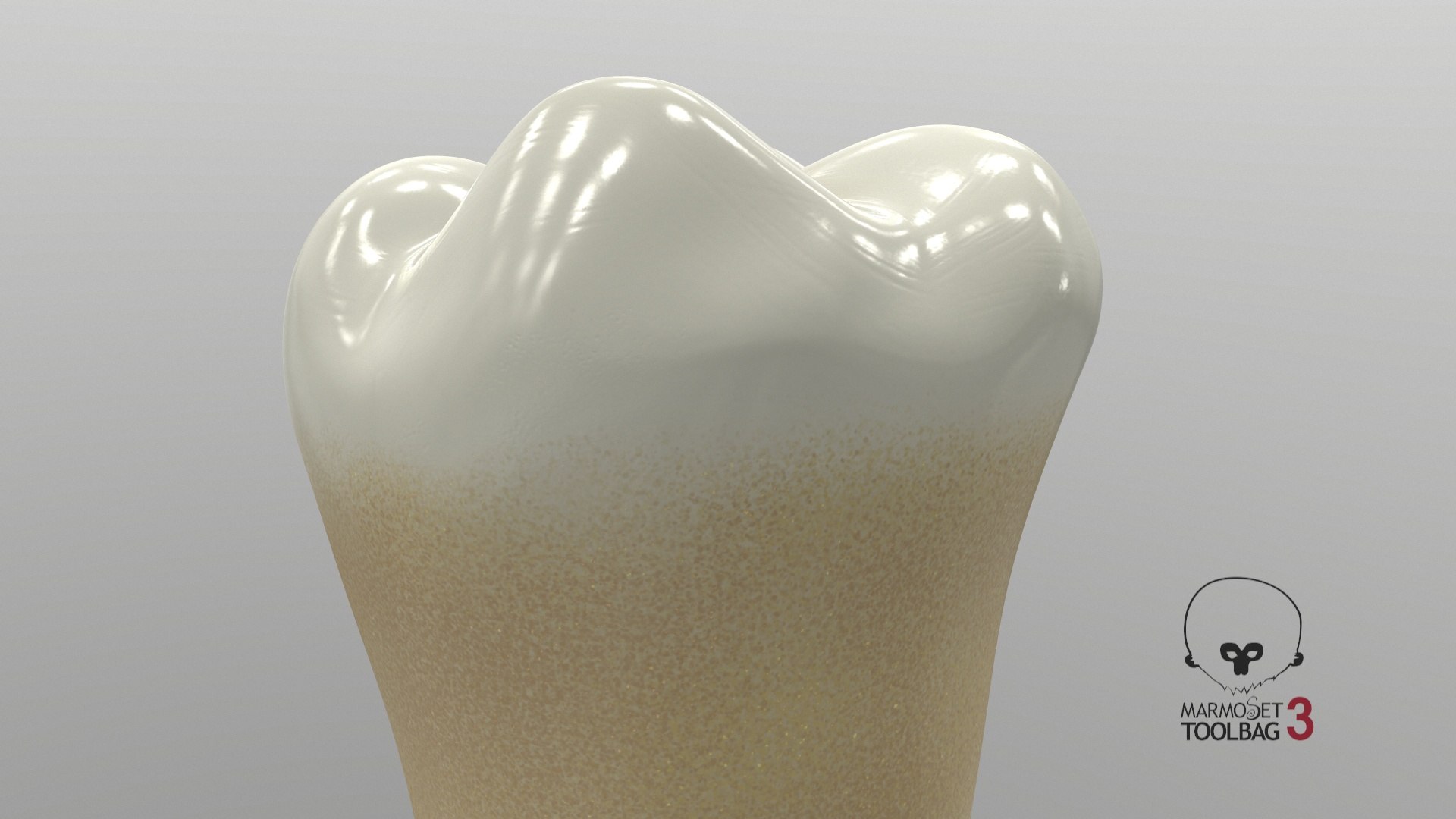 Human Teeth Lower Molar 3D Model - TurboSquid 1599239