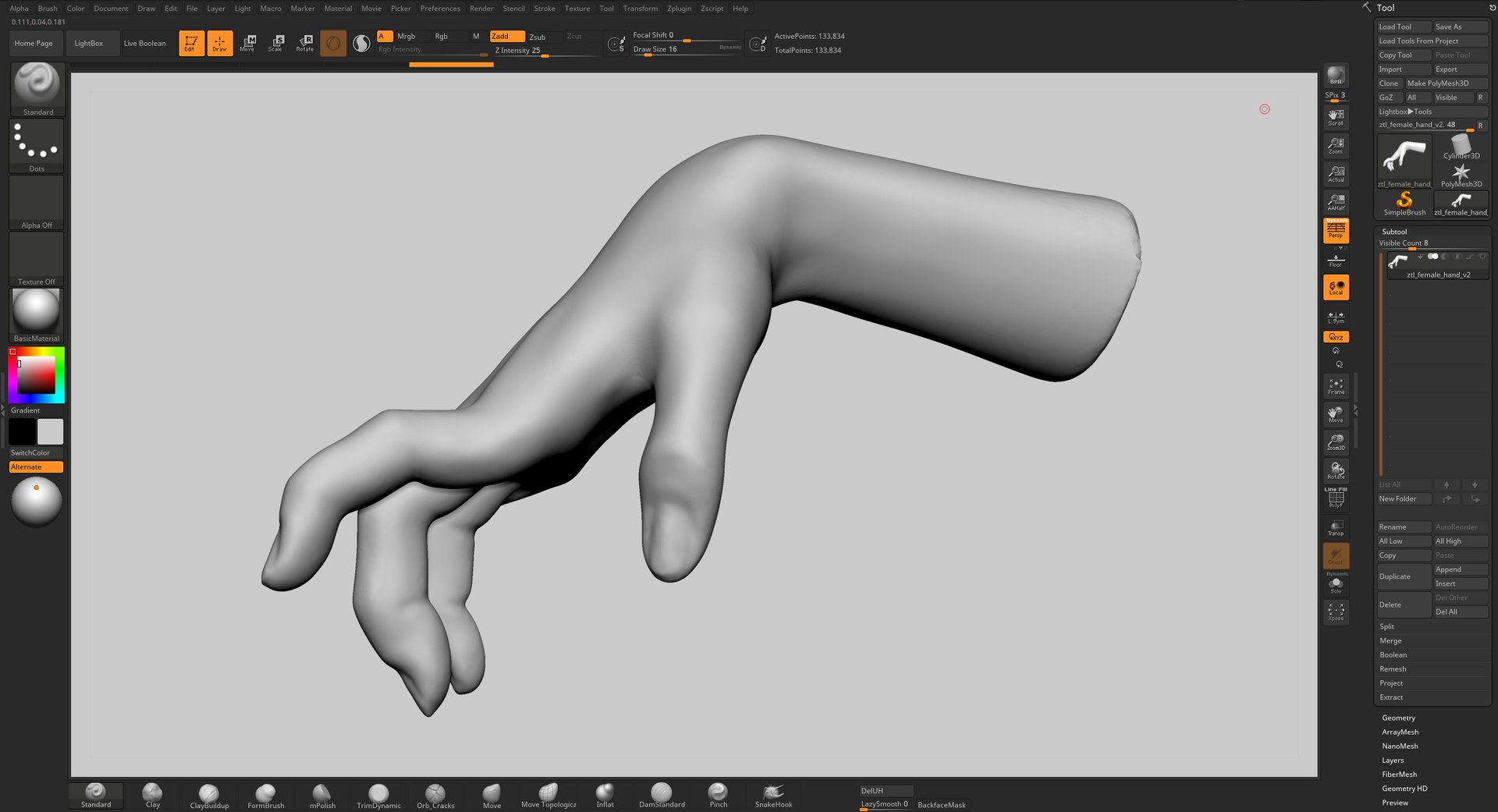 Female hand anatomy 3D model - TurboSquid 1600357