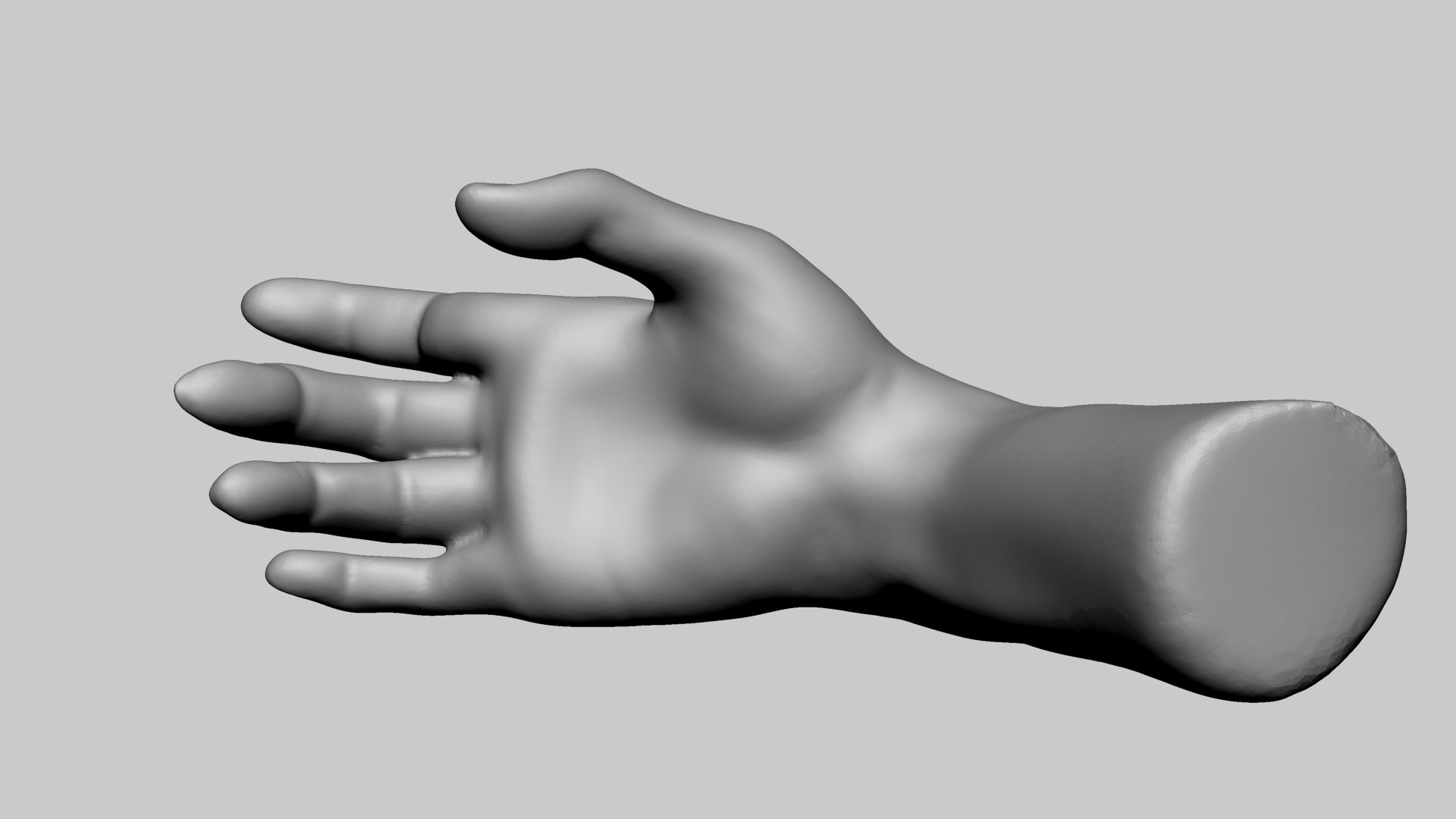 Female hand anatomy 3D model - TurboSquid 1600357