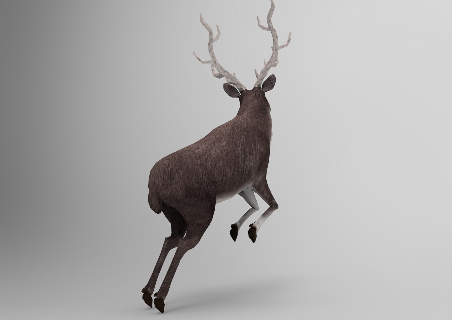 3D Deer Rigged Animation - TurboSquid 1205389
