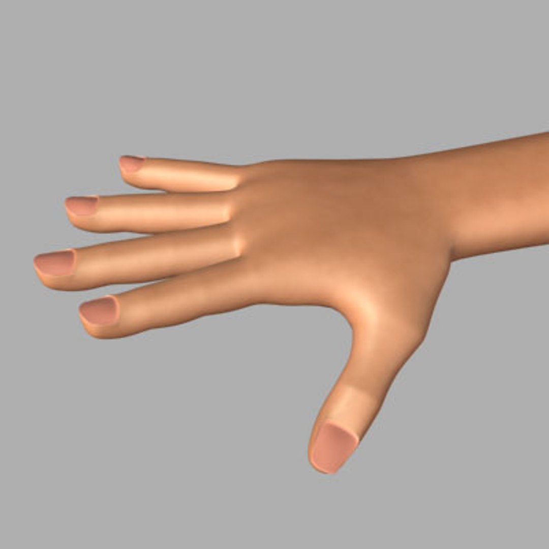 3d Realistic Human Hand Animation Model