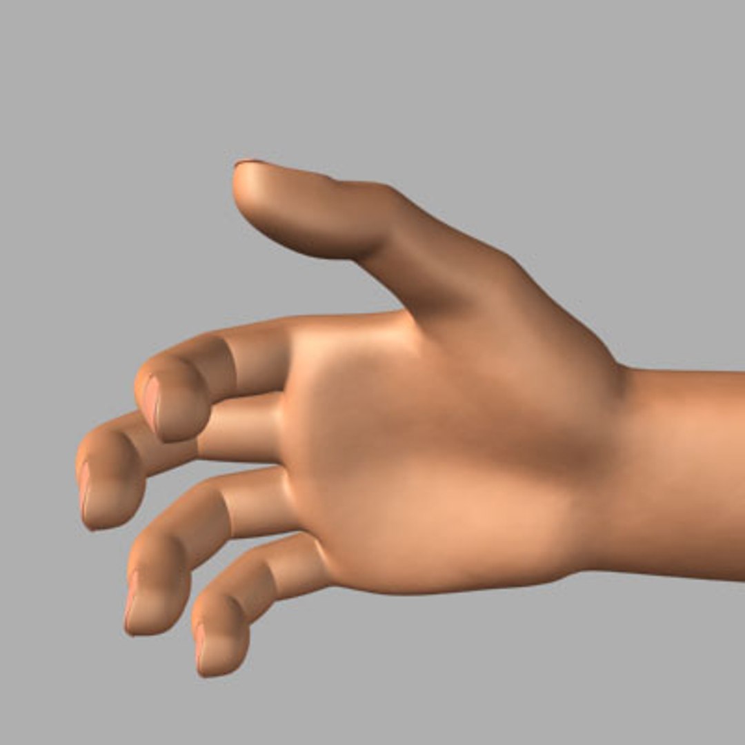 3d Realistic Human Hand Animation Model