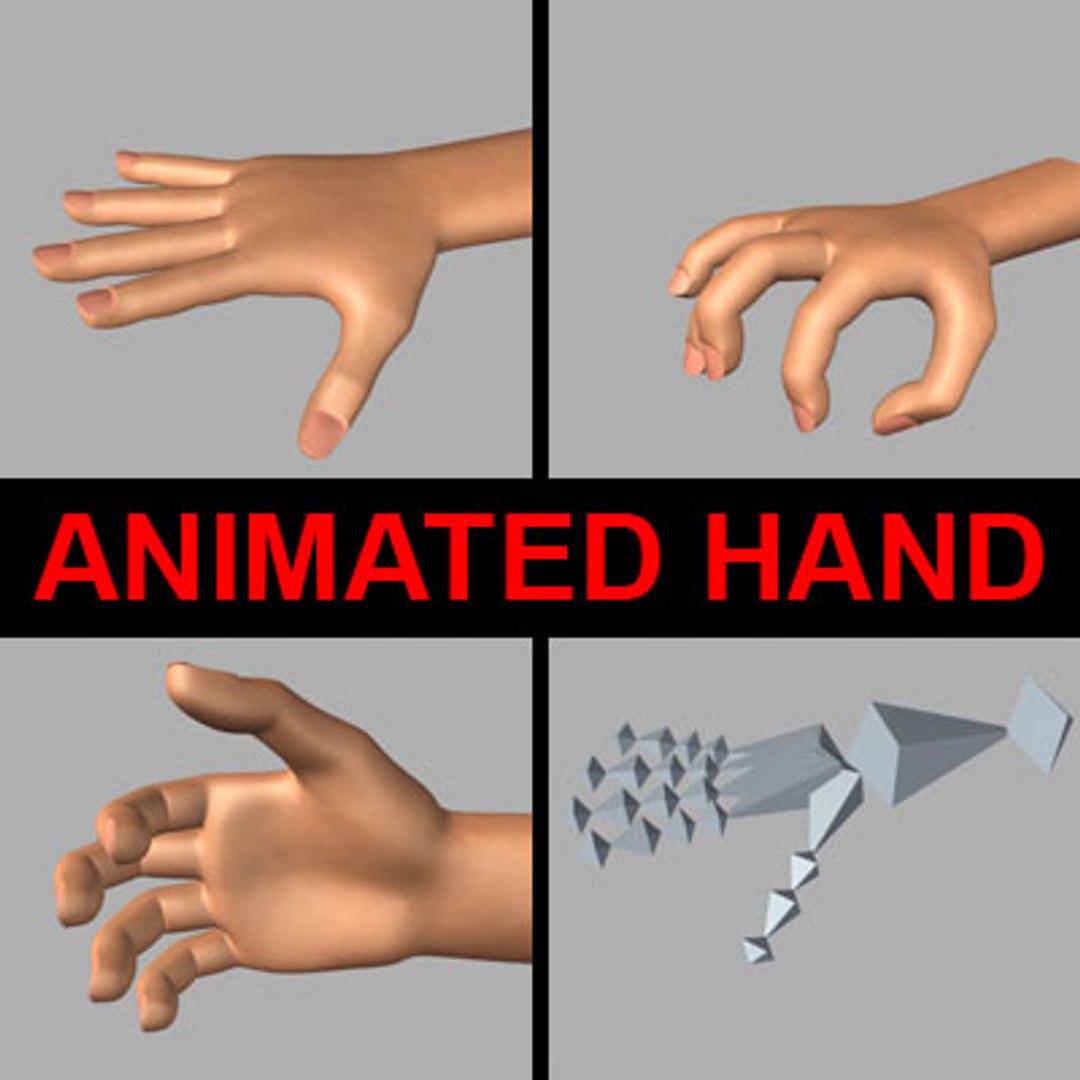 3d Realistic Human Hand Animation Model
