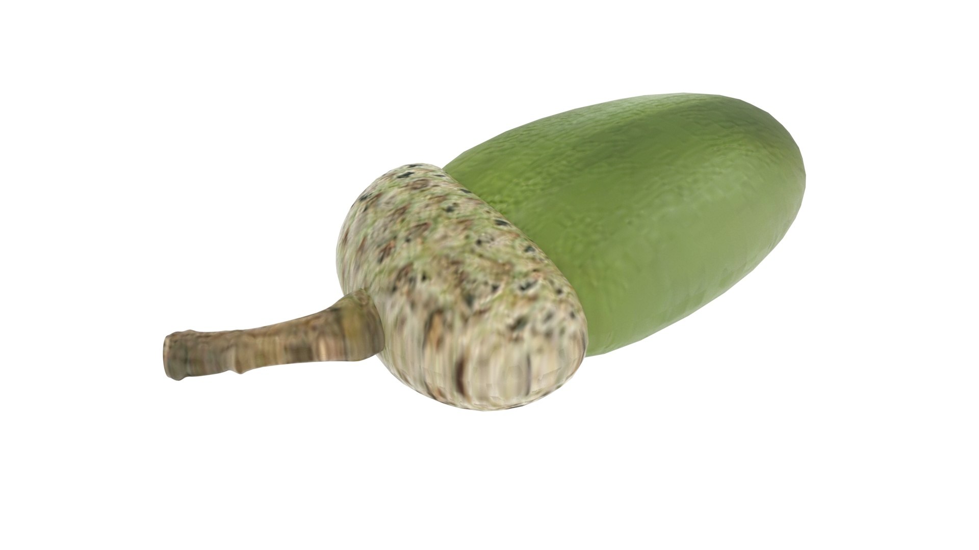 Acorn Model - TurboSquid 1851160