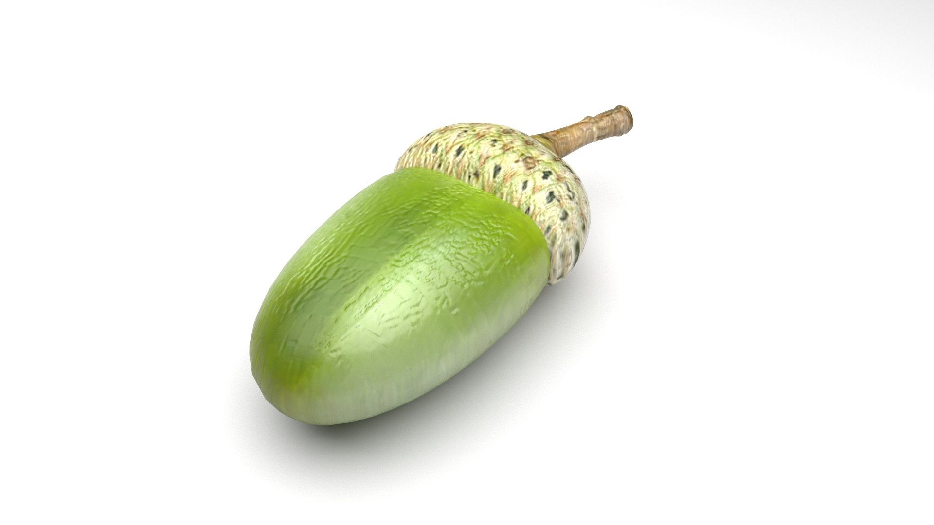 Acorn Model - TurboSquid 1851160