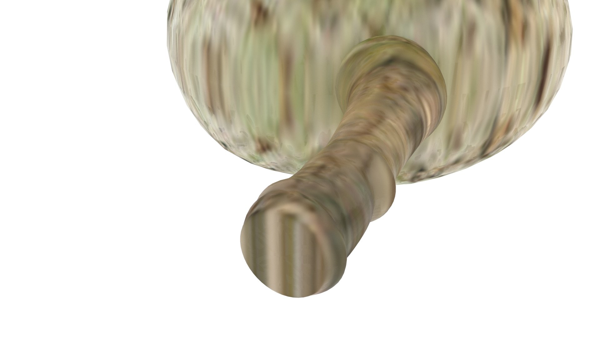 Acorn Model - TurboSquid 1851160