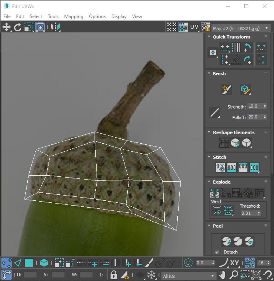 Acorn Model - TurboSquid 1851160