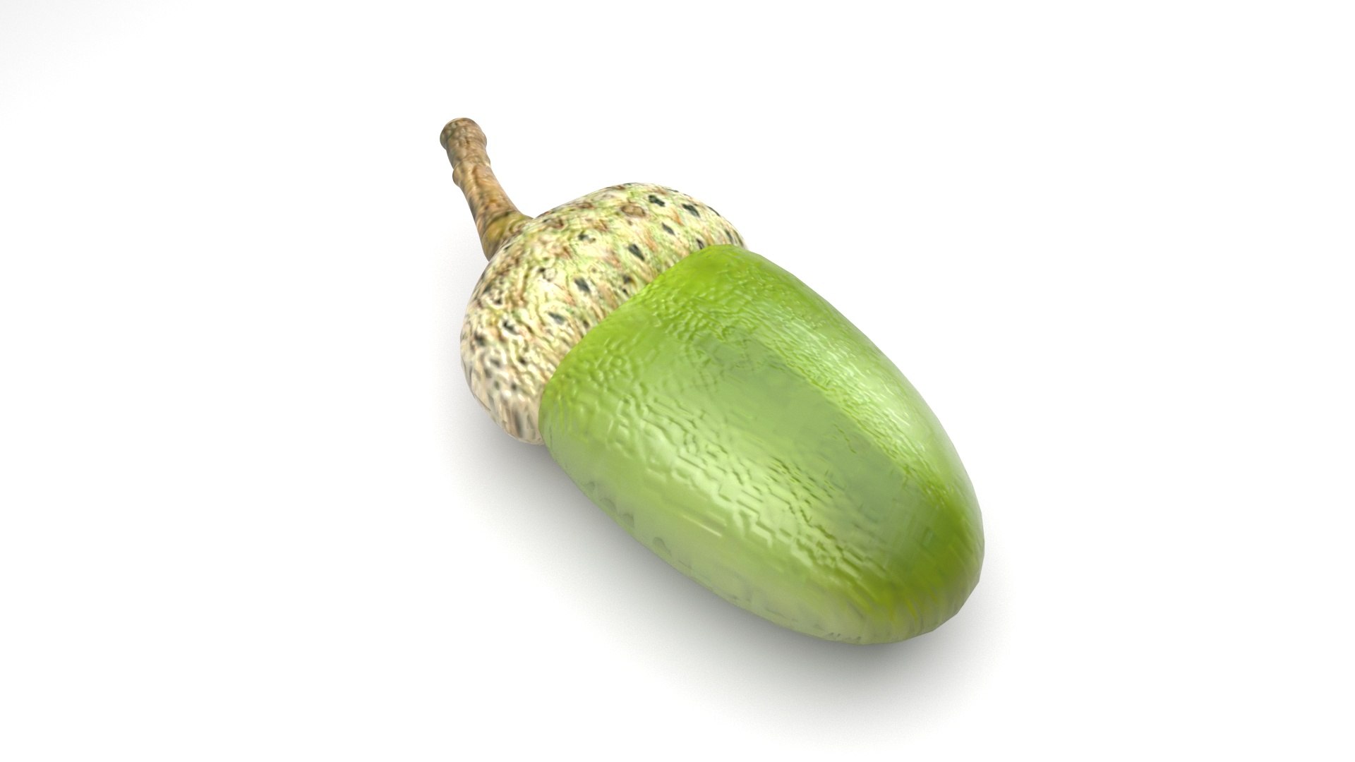 Acorn Model - TurboSquid 1851160