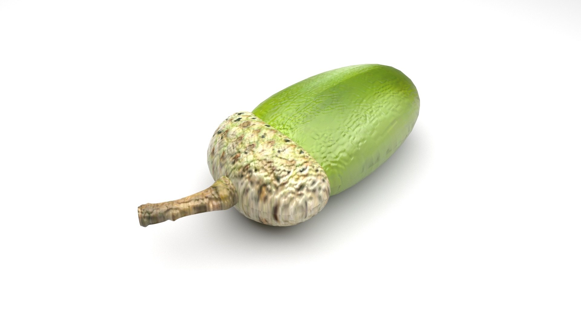 Acorn Model - TurboSquid 1851160