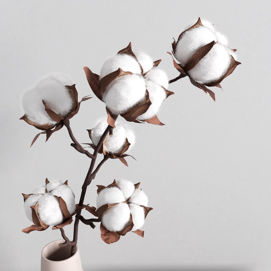 Cotton Branch 3D - TurboSquid 1573853