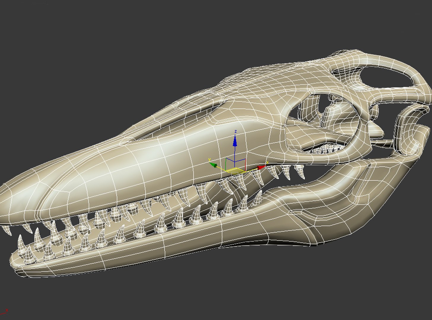 Mosasaurus Skull 3D Model - TurboSquid 1228849