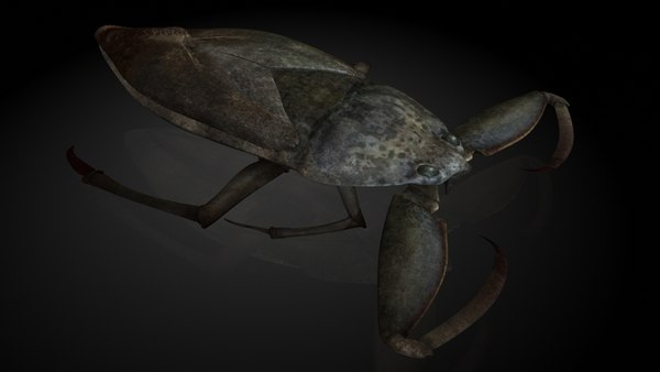 Negative sub bugs 3D model - TurboSquid 1313876