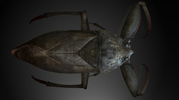 Negative sub bugs 3D model - TurboSquid 1313876