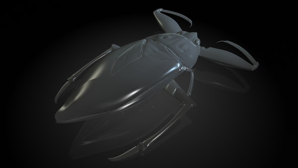 Negative sub bugs 3D model - TurboSquid 1313876