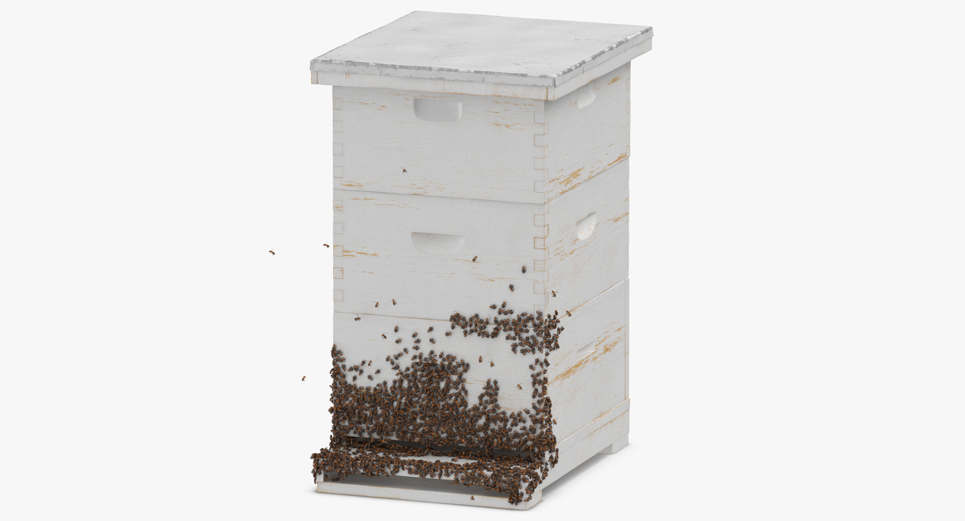 Bee hive 02 3D model - TurboSquid 1350382