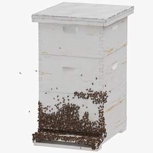 3D Bee Hive Models - Browse & Download Formats - TurboSquid