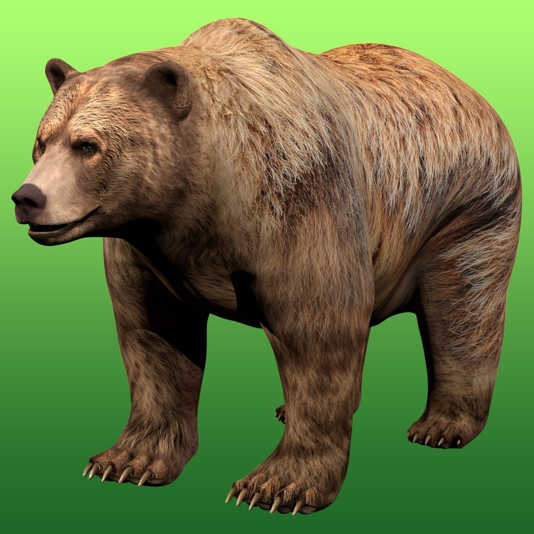 3D Model Bear 3D Models Pack Collection - TurboSquid 2322479