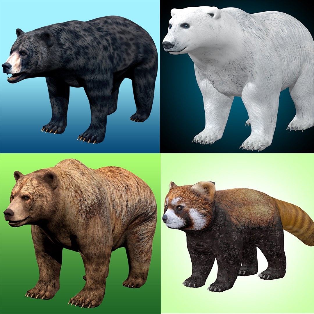 3D Model Bear 3D Models Pack Collection - TurboSquid 2322479