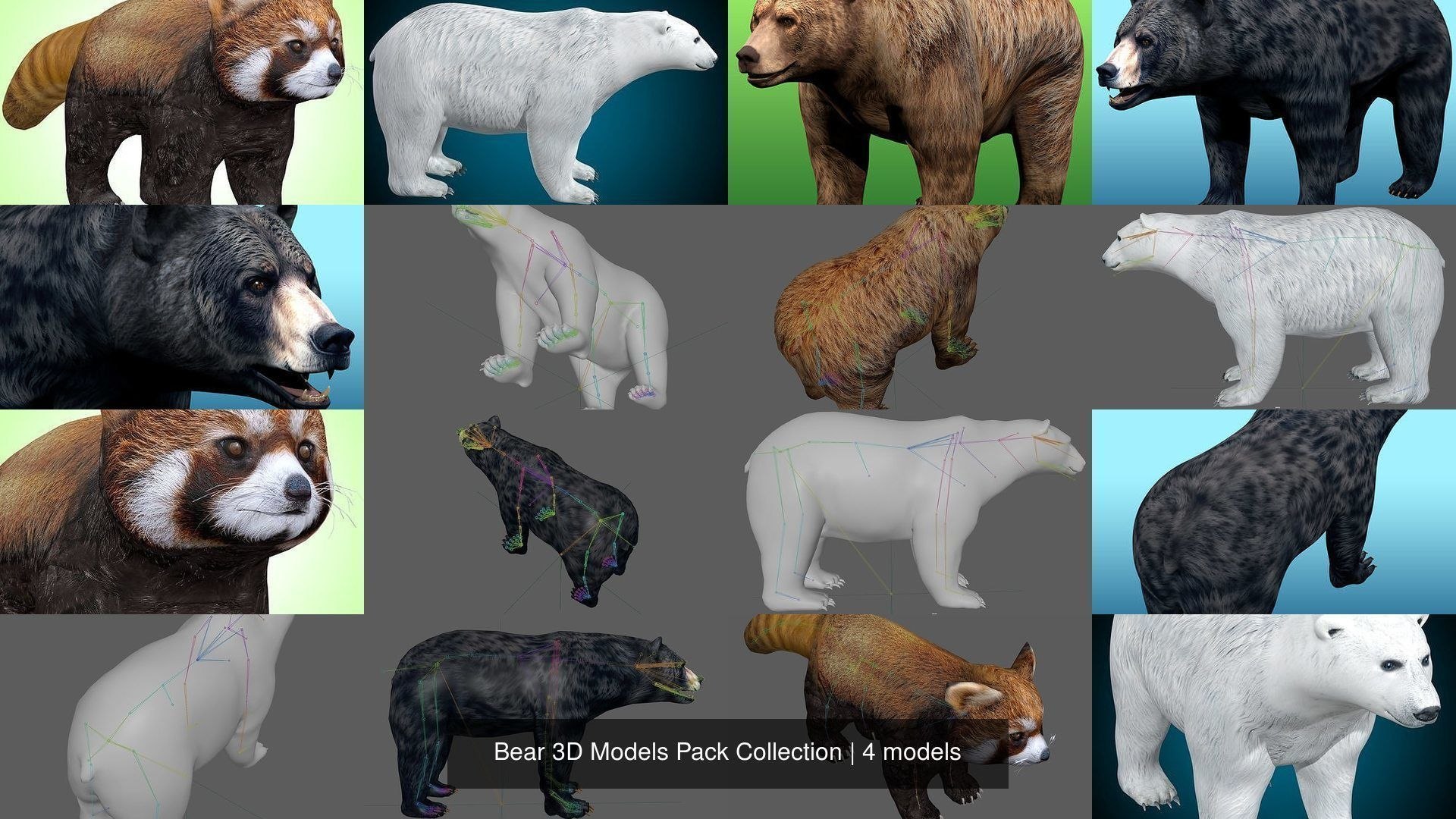 3D Model Bear 3D Models Pack Collection - TurboSquid 2322479