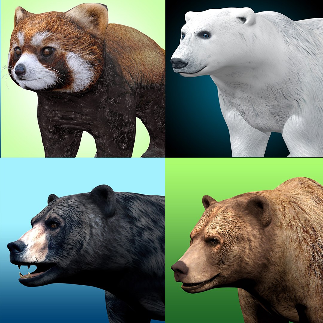 3D Model Bear 3D Models Pack Collection - TurboSquid 2322479