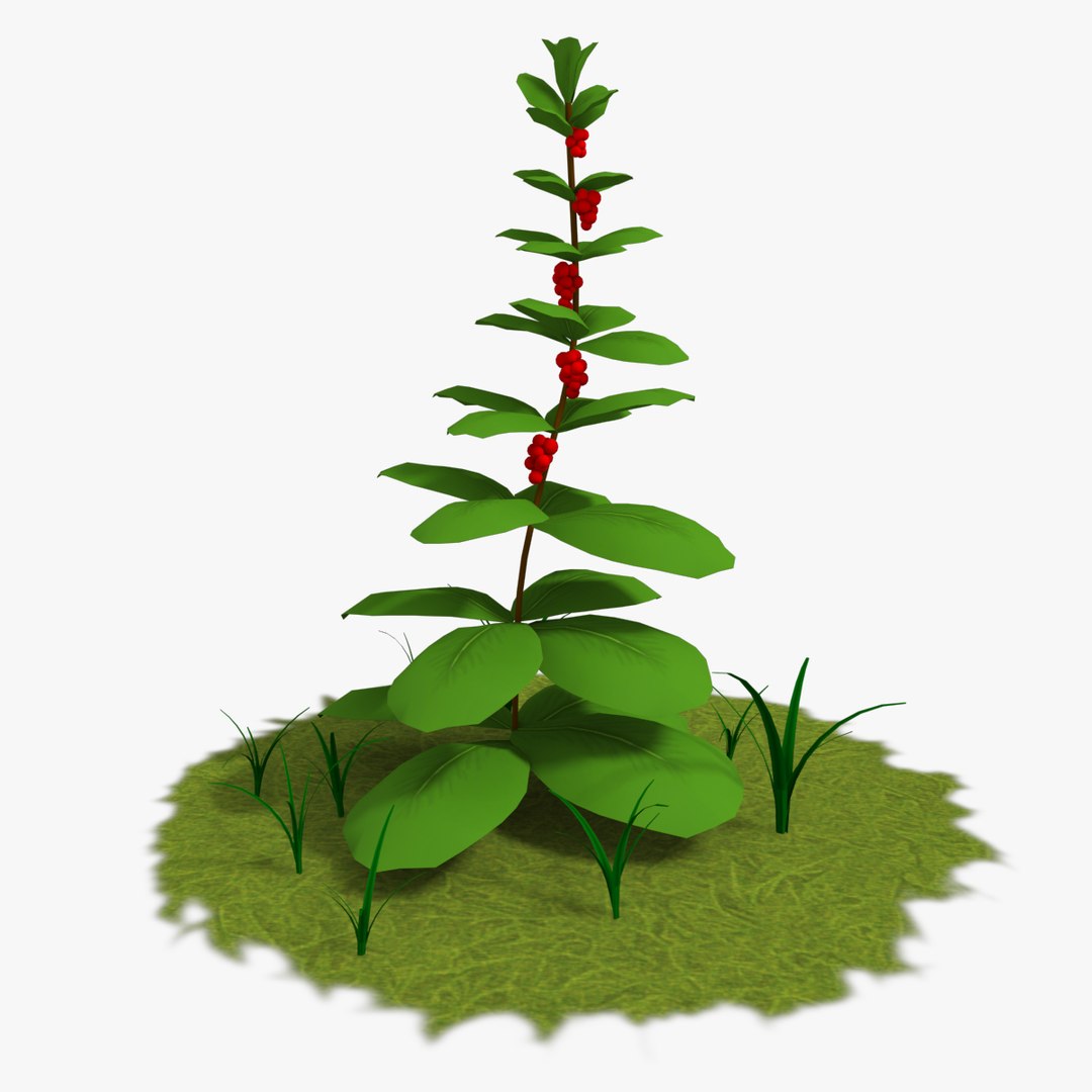 cartoon plants 3d max